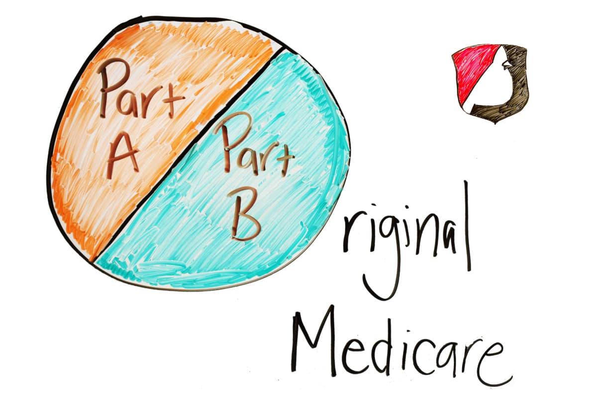 Everything You Need to Know about Medicare Part A and Part B - Cardinal ...